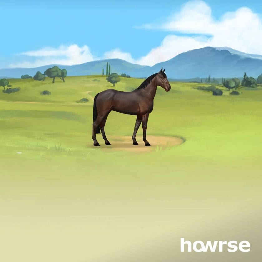 Standardbred | Howrse Wiki | Fandom