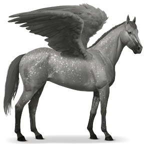 Pegasus | Howrse Wiki | Fandom