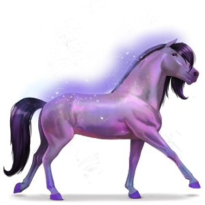 Brave Purple | Howrse Wiki | Fandom