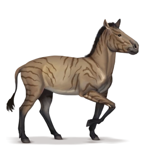 Hipparion | Howrse Wiki | Fandom