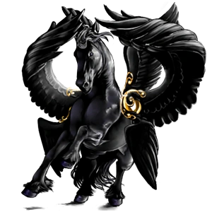 Image - Seraphim.png | Howrse Wiki | FANDOM powered by Wikia