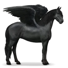 Pegasus | Howrse Wiki | Fandom