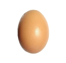 Eggs | HowToBasic Wiki | Fandom