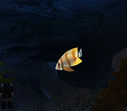 Fish (Franchise) | How to Train Your Dragon Wiki | Fandom