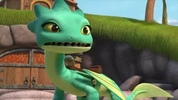 Gallery: Summer | How to Train Your Dragon Wiki | Fandom