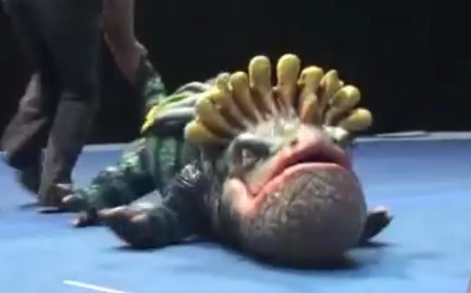 Gobsucker | How to Train Your Dragon Wiki | Fandom