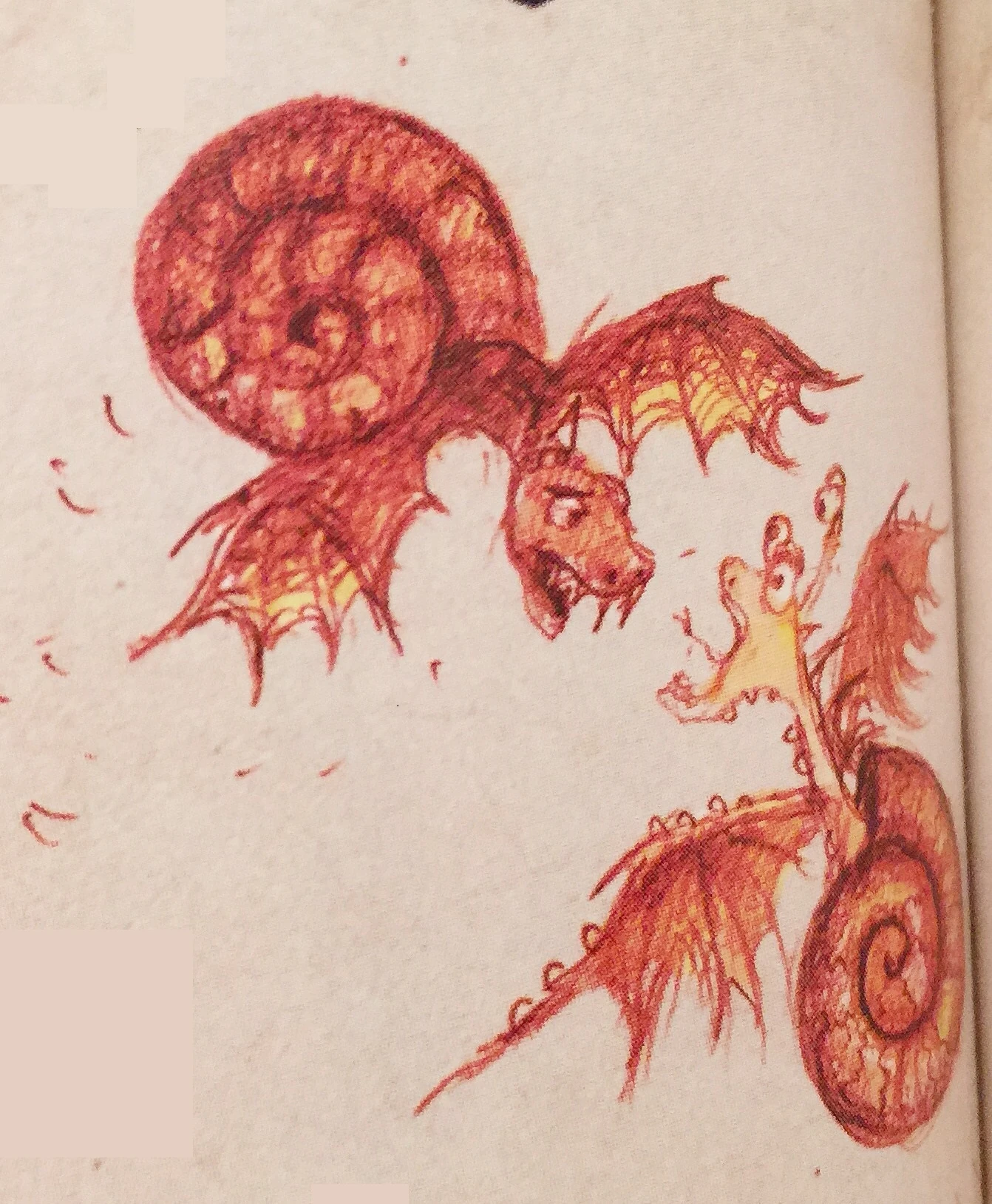 Unknown Dragons (Books) | How to Train Your Dragon Wiki | Fandom