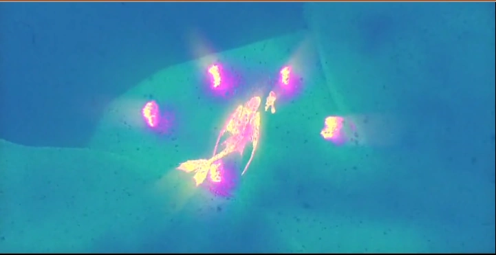 Espectro de Nieve | Cómo entrenar a tu Dragón Wiki | Fandom