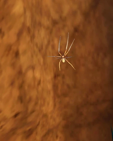 Spider (Franchise) | How to Train Your Dragon Wiki | Fandom