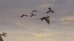 Bork Week Nadders | How to Train Your Dragon Wiki | Fandom