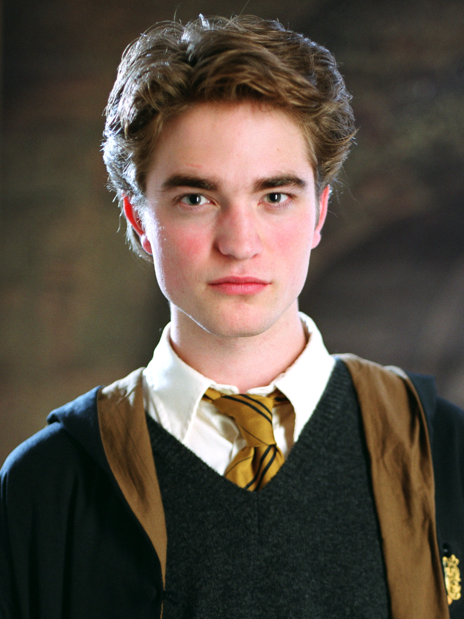 Cedric Diggory (Digits) | HPMOR Wiki | Fandom
