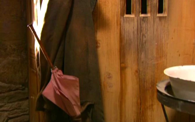 Hagrid's wand | Harry Potter Wands Wiki | Fandom