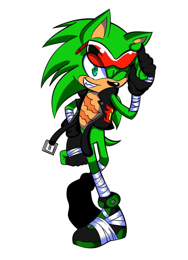 Scourge the Hedgehog | Young cash09 Wiki | Fandom