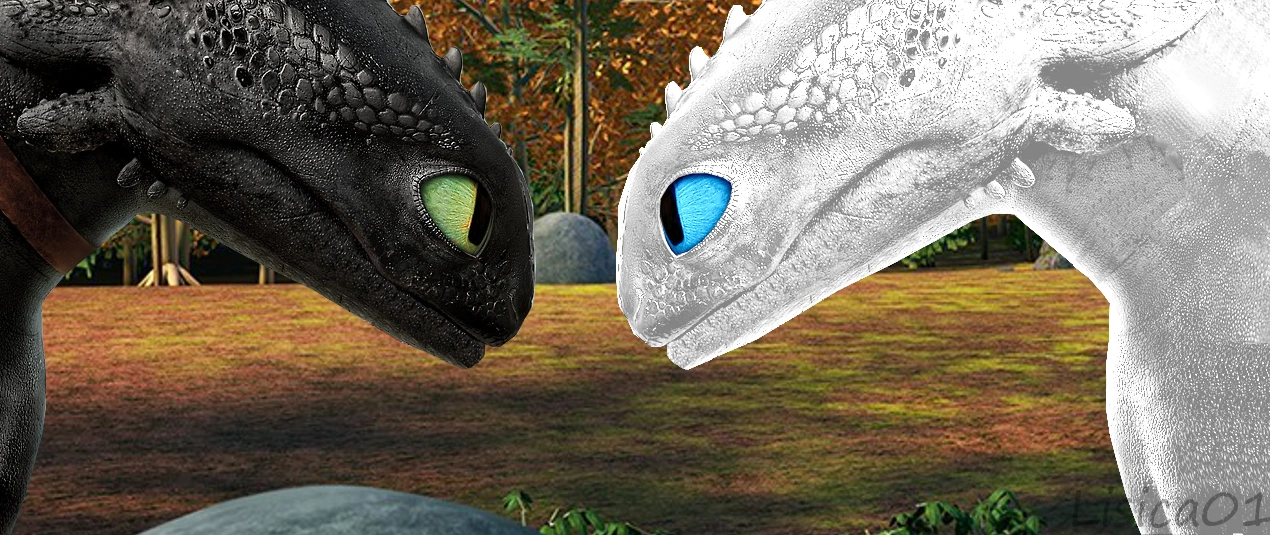 Image - White Night Fury Polaris - 4.png | How to Train Your Dragon ...