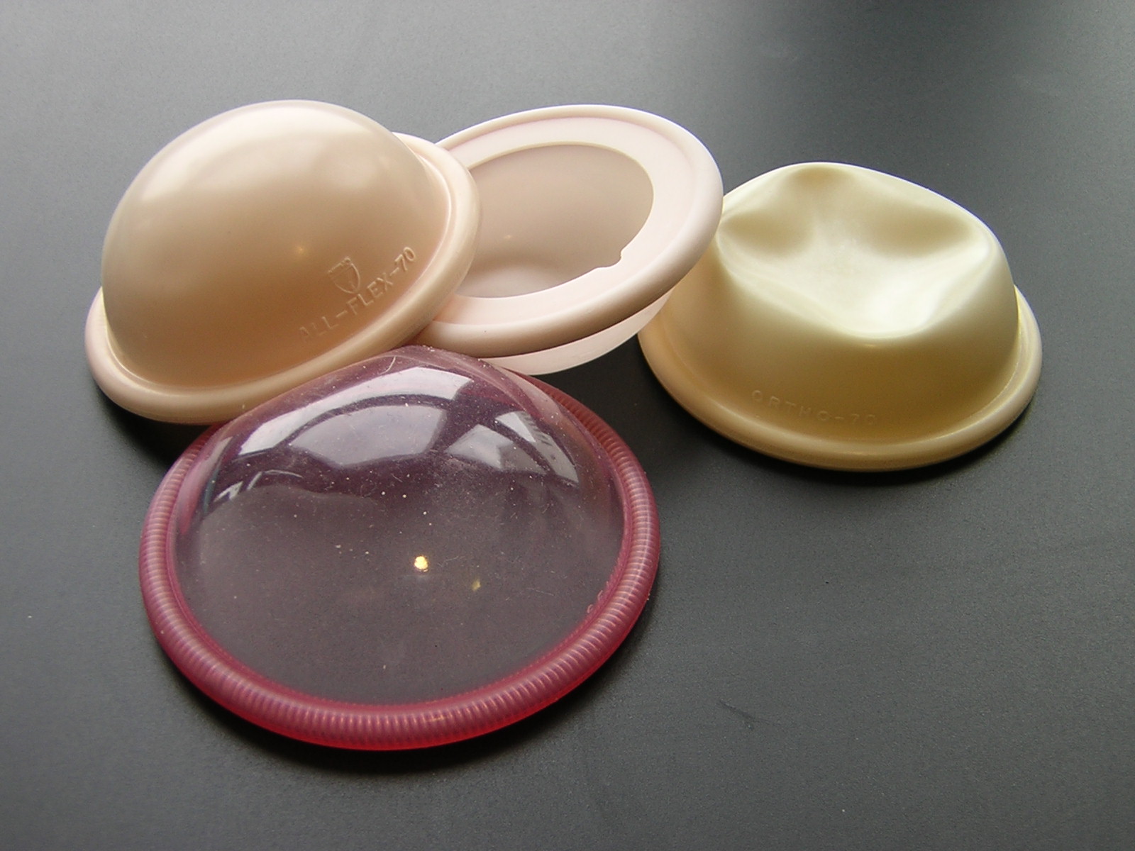 Diaphragms Human Sexuality Wiki Fandom Powered By Wikia