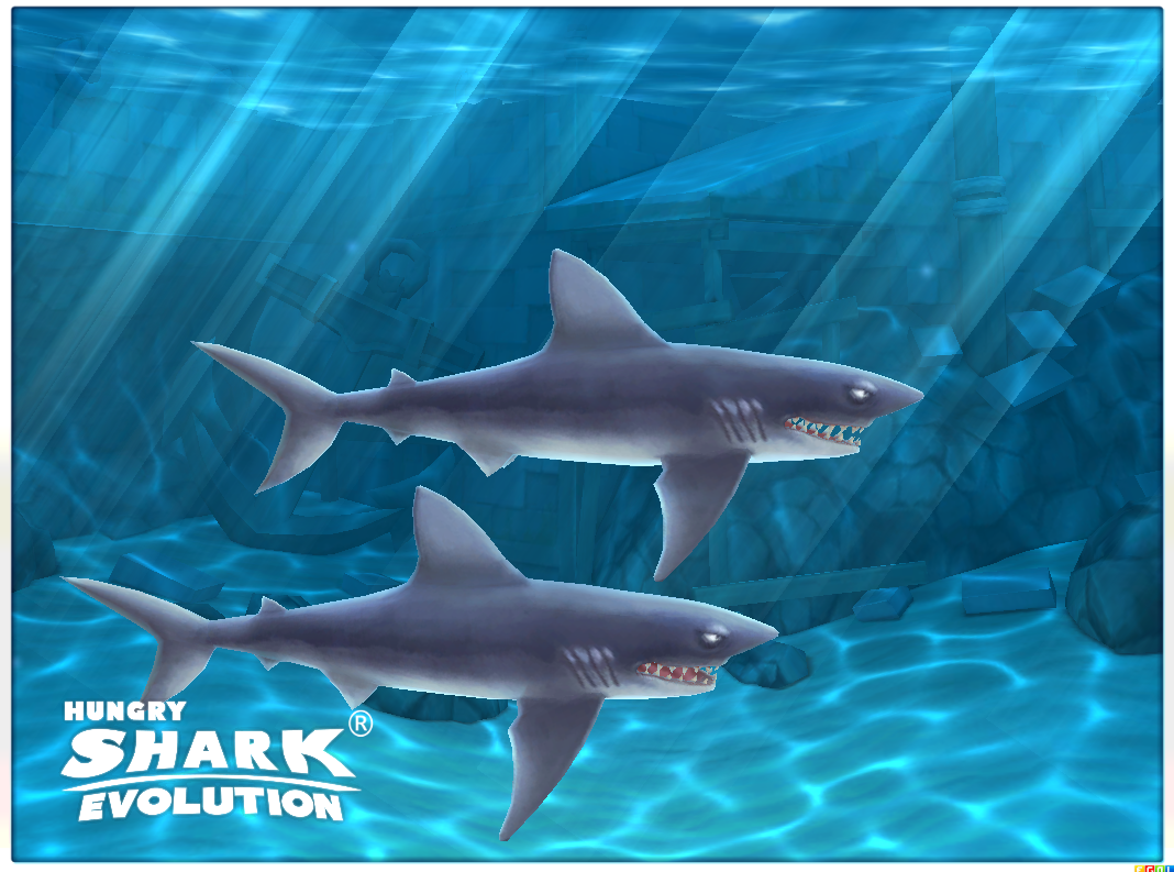 Baby Mako Shark | Hungry Shark Wiki | Fandom