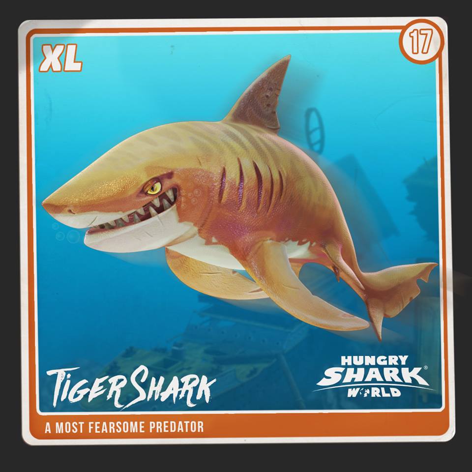 Tiger Shark (HSW) | Hungry Shark Wiki | Fandom Tiger Shark (HSW) | Hungry Shark Wiki | Fandom