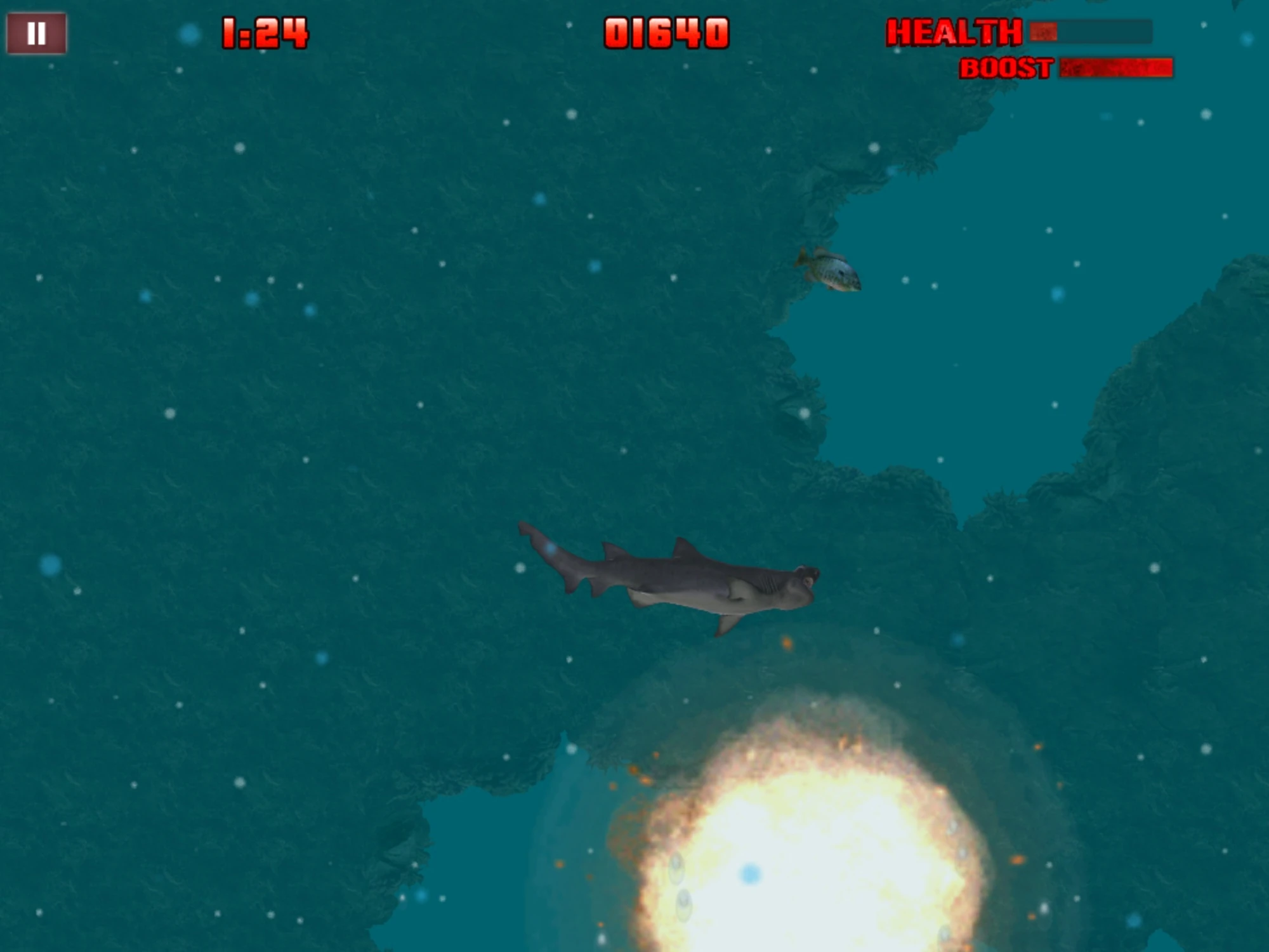 Tiger Shark (HSE) | Hungry Shark Wiki | Fandom