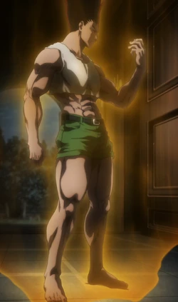 Gon Freecss | Wiki Hunter x Hunter | FANDOM powered by Wikia