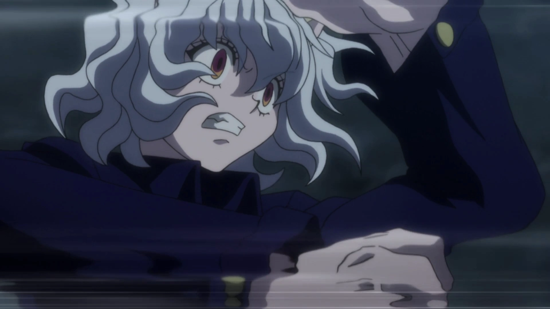 Neferpitou Hunterpedia