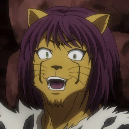Cheetu | Hunter X Hunter Wikia | FANDOM powered by Wikia