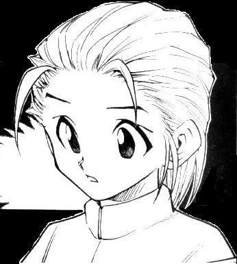 Mito Freecss | Wiki Hunter x Hunter | Fandom