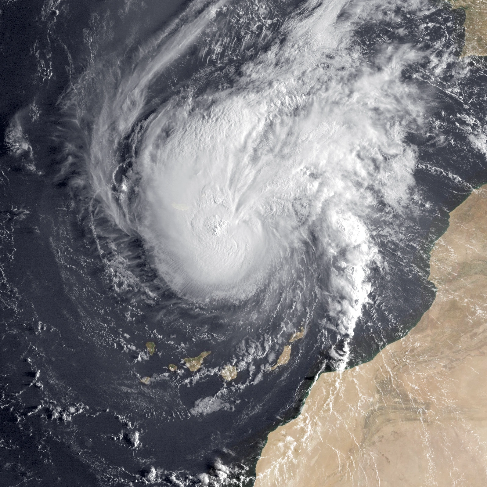 Hurricane Fernand (2019) | Hypothetical Hurricanes Wiki | Fandom