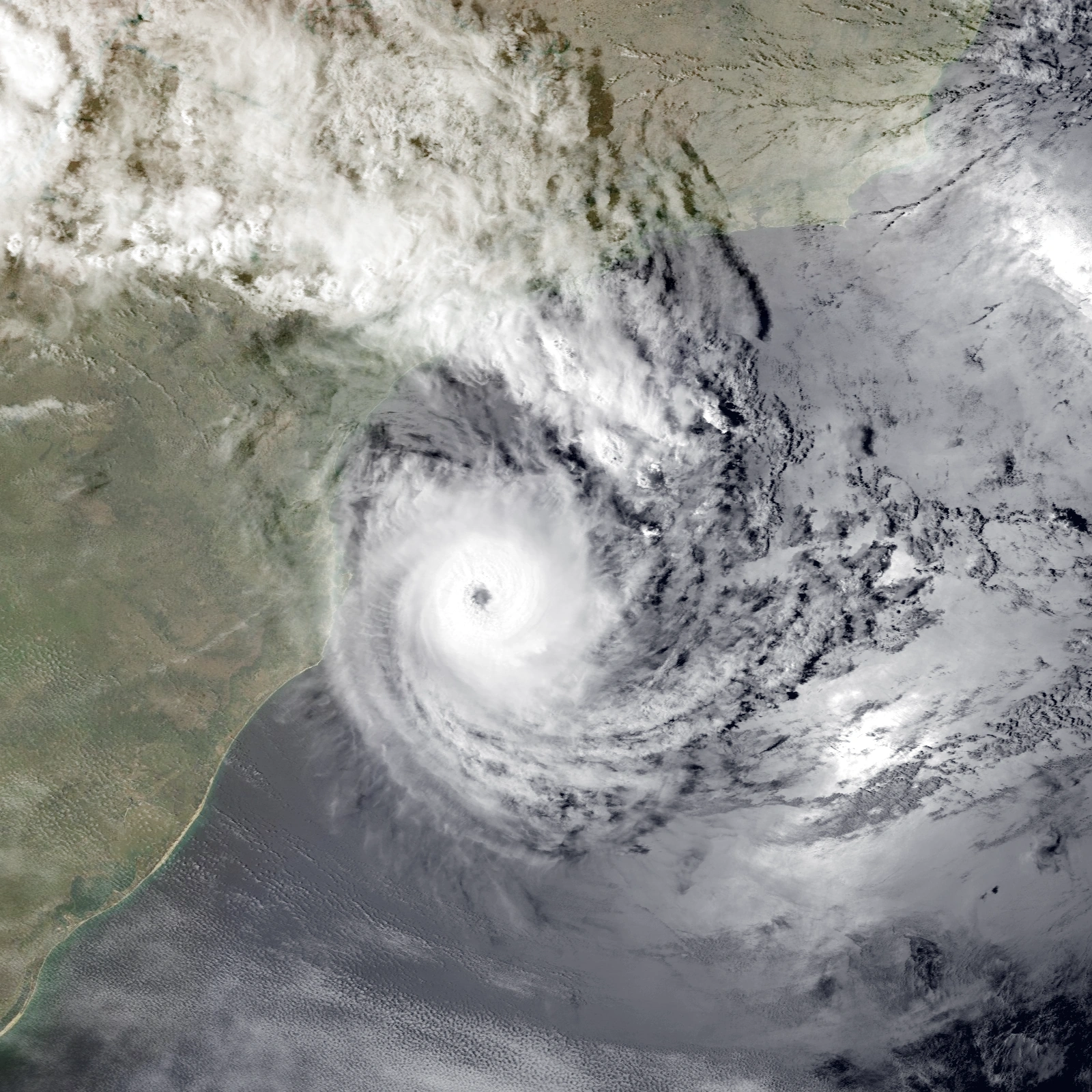 Hurricane Jaguar | Hypothetical Hurricanes Wiki | Fandom