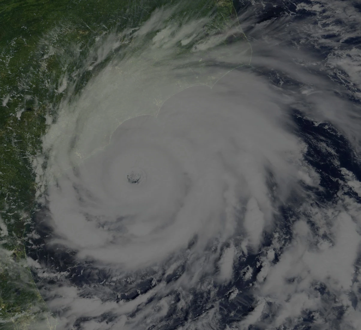 Hypercane Dorian (Alternate Timeline) | Hypothetical Hurricanes Wiki ...