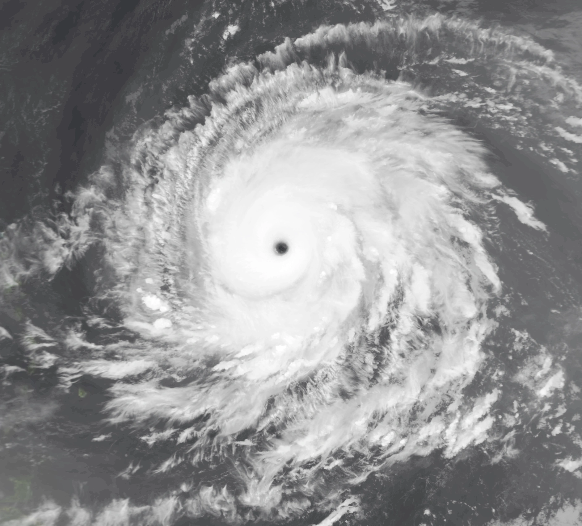 Hurricane Zachary | Hypothetical Hurricanes Wiki | Fandom