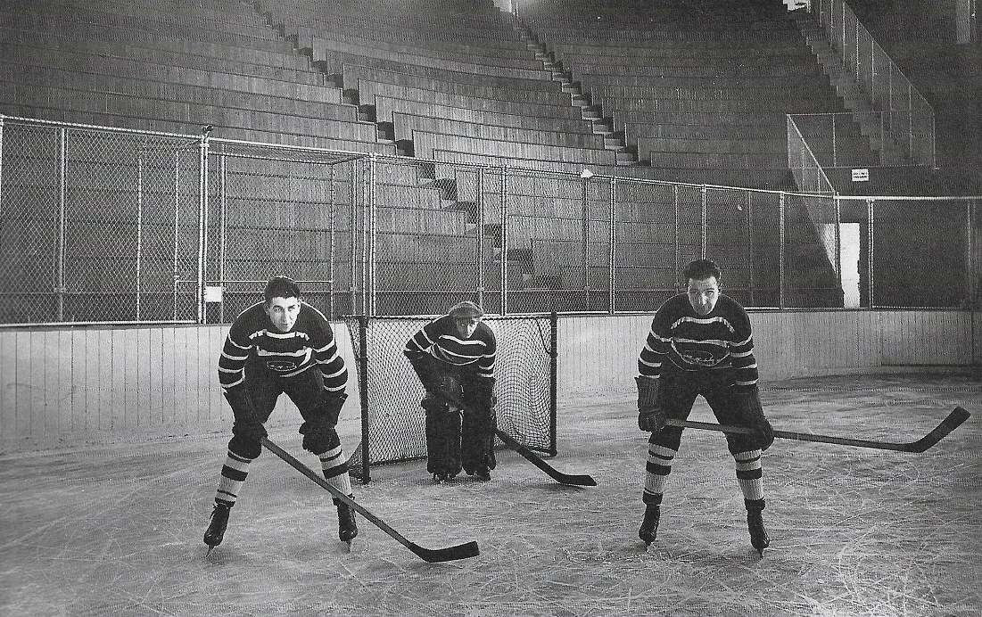 1925–26 Boston Bruins season | Ice Hockey Wiki | Fandom