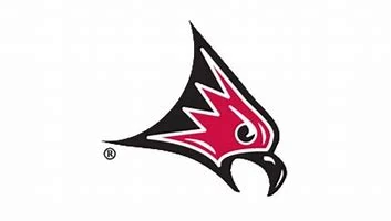 Wisconsin-River Falls Falcons women's ice hockey | Ice Hockey Wiki | Fandom
