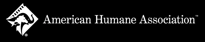 Meet The Robinsons (Live-Action)/Credits | Idea Wiki | Fandom