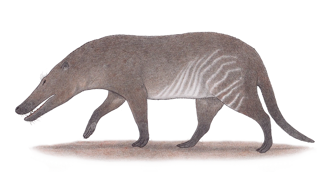 Pakicetus (SciiFii) | Idea Wiki | Fandom