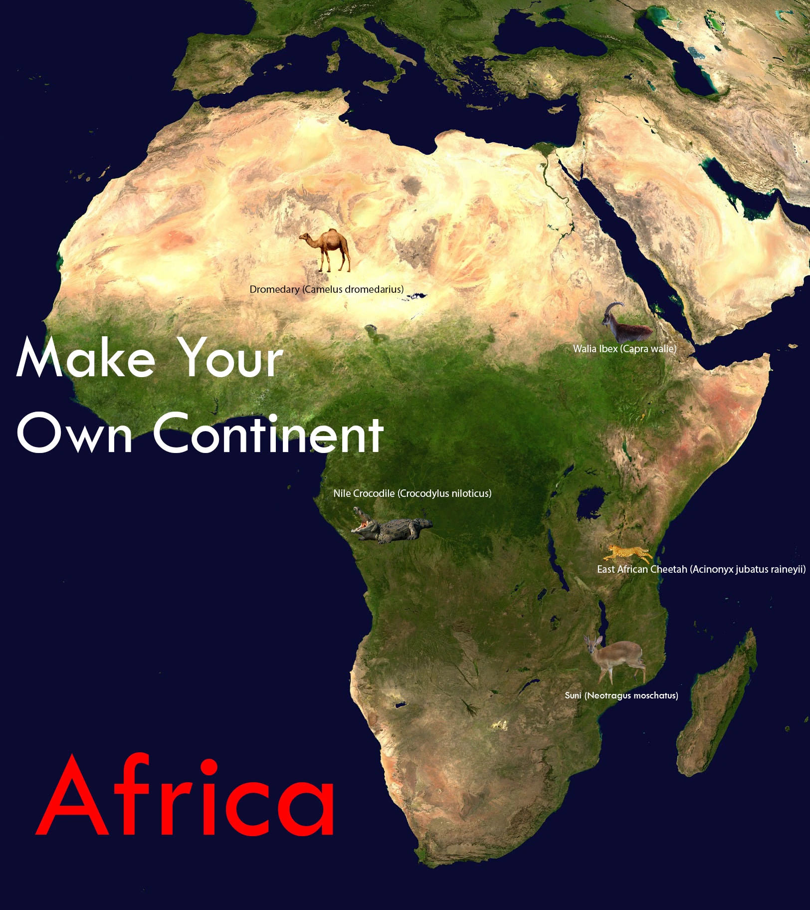 Make Your Own Continent | Idea Wiki | Fandom