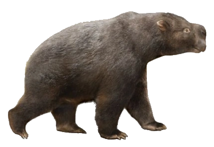 Diprotodon (SciiFii) | Idea Wiki | Fandom