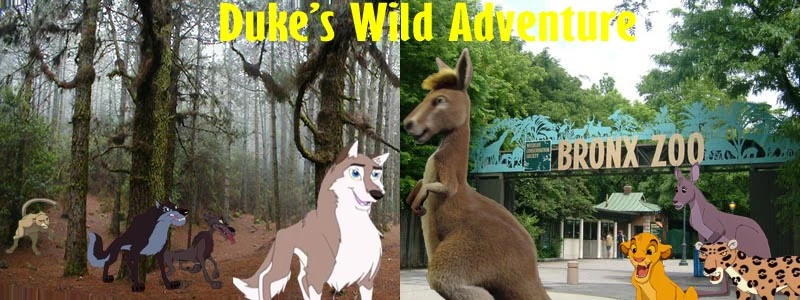 Duke's Wild Adventure | Idea Wiki | Fandom