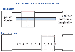 EVA EVA | Wiki IFES | Fandom
