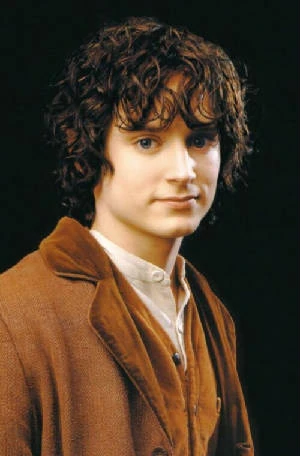 Frodo Baggins | Lord of the Rings Wiki | FANDOM powered by Wikia