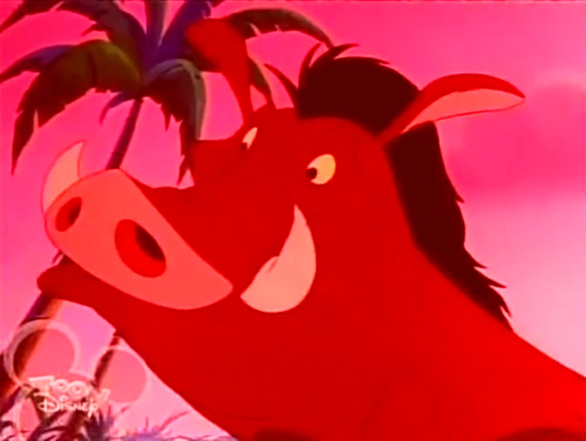Pumbaa Smith Warthog | In America and Ireland Wiki | Fandom