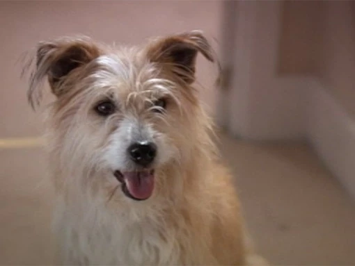 Benji | The Inbetweeners Wiki | Fandom