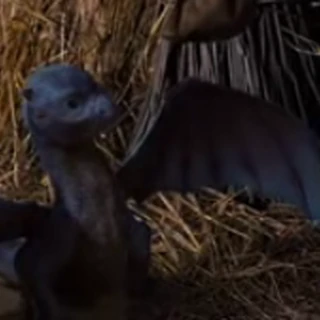 Saphira | Inheriwiki | FANDOM powered by Wikia