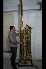 Saxophone | The Instruments Wiki | Fandom