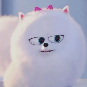 Gidget | The Secret Life of Pets[link] | International Entertainment ...