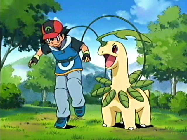 Ash's Bayleef | International Pokédex Wiki | Fandom
