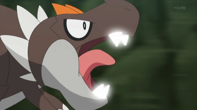 Crunch | International Pokédex Wiki | Fandom