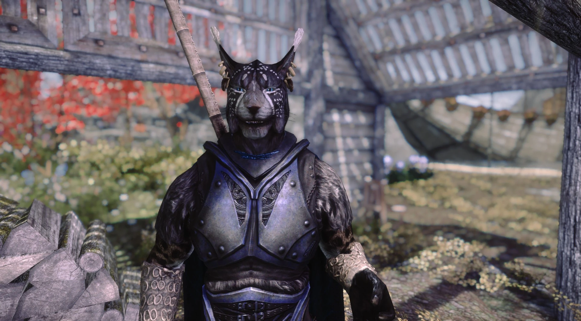 Dro'Sindir | Invasion of Skyrim Wikia | Fandom