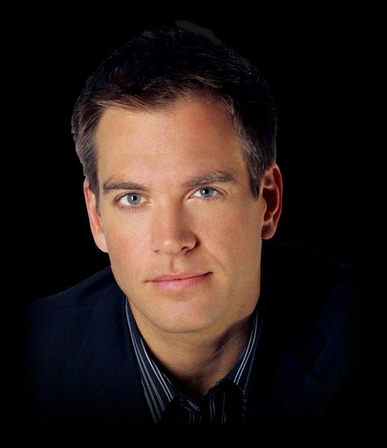 Dinozzo | Wiki Invesigacin Criminal NCIS | Fandom