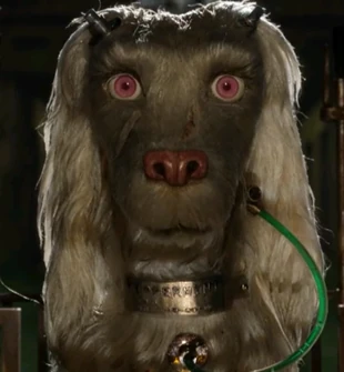 Peppermint | Isle of Dogs Wiki | Fandom