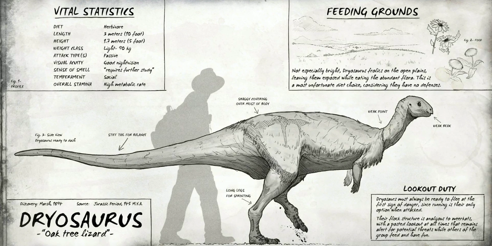 Image - Dryosaurus Dossier The Isle.png | The Isle Wiki | FANDOM ...